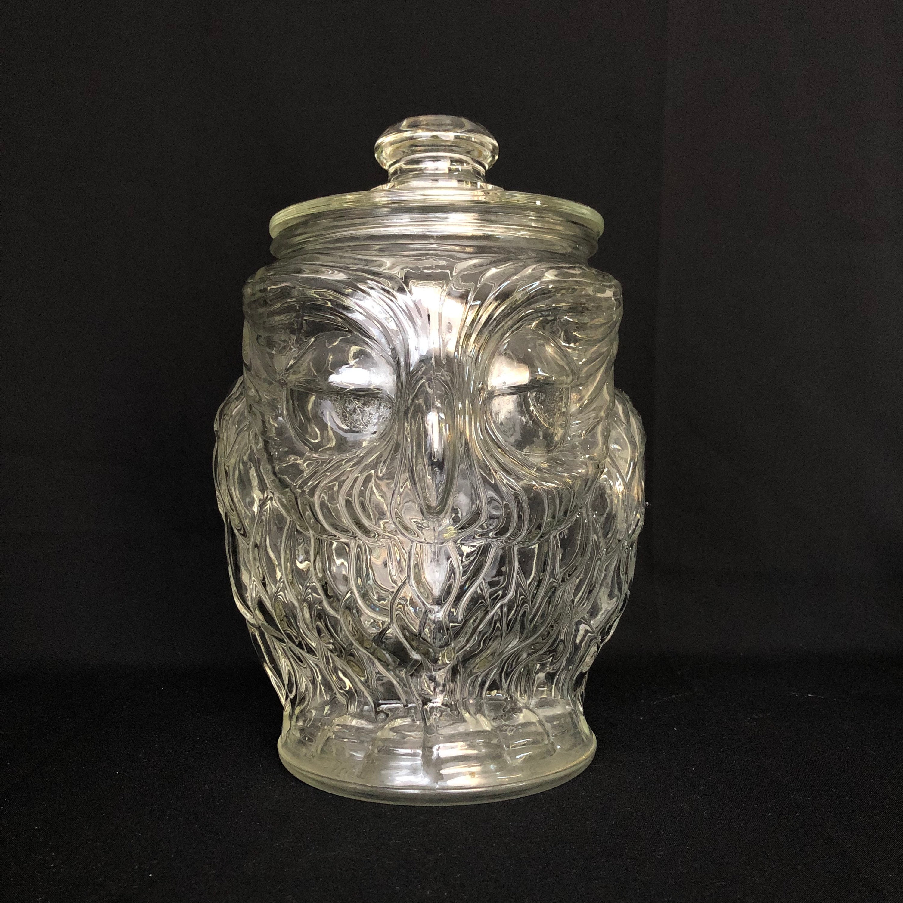 Vintage Clear Glass Owl Jar