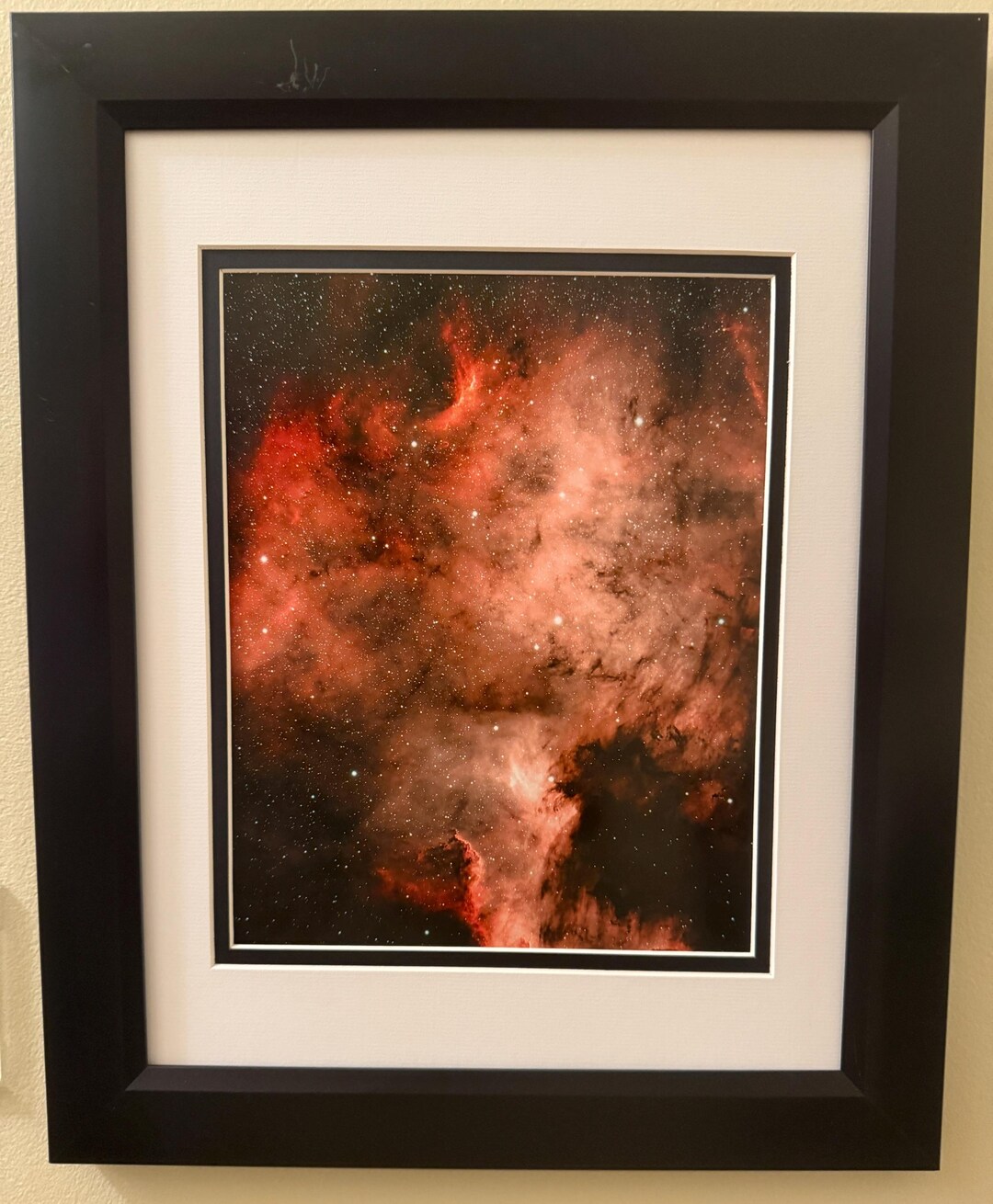 The North America Nebula (caldwell 20) Astrophotography 8"x10" Giclee ...
