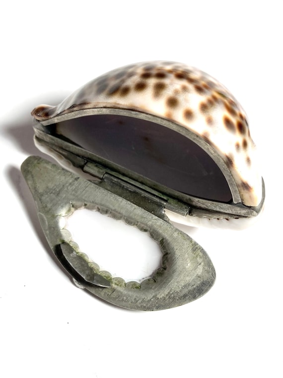 Vintage Tiger Cowry Hinged Sea Shell Trinket/Jewelry/… - Gem