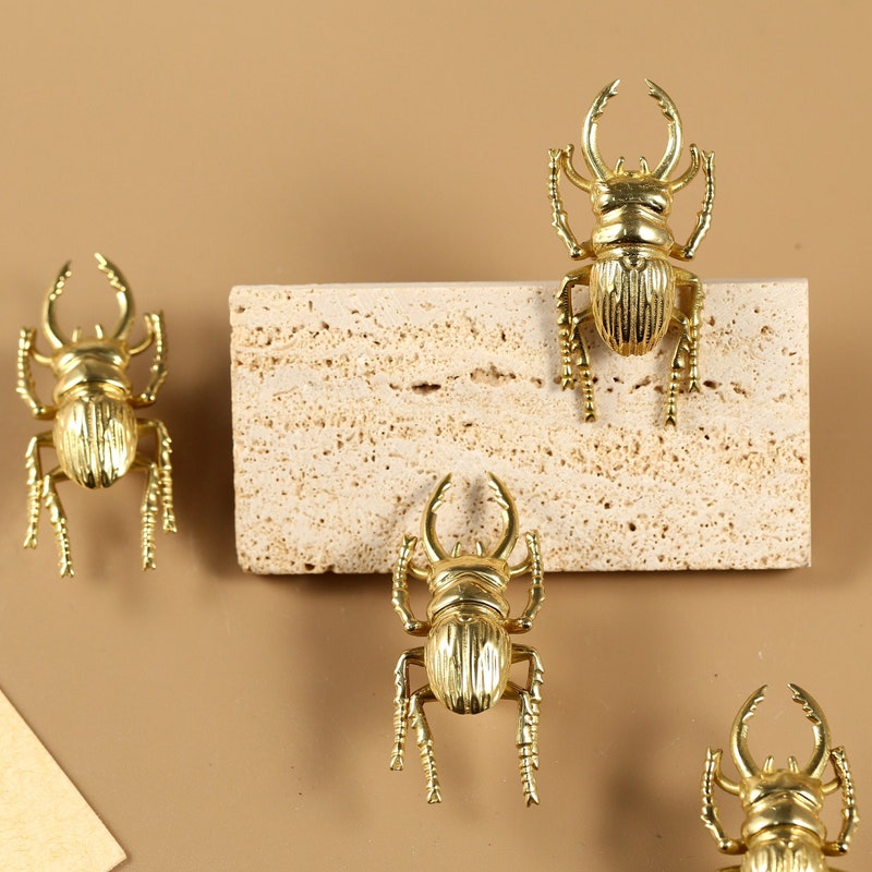 Insect Drawer Knobs - Etsy