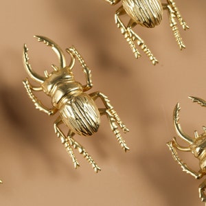 Textured Brass Beetle Bug Drawer Knobs Animals Cabinet Knobs Drawer ...