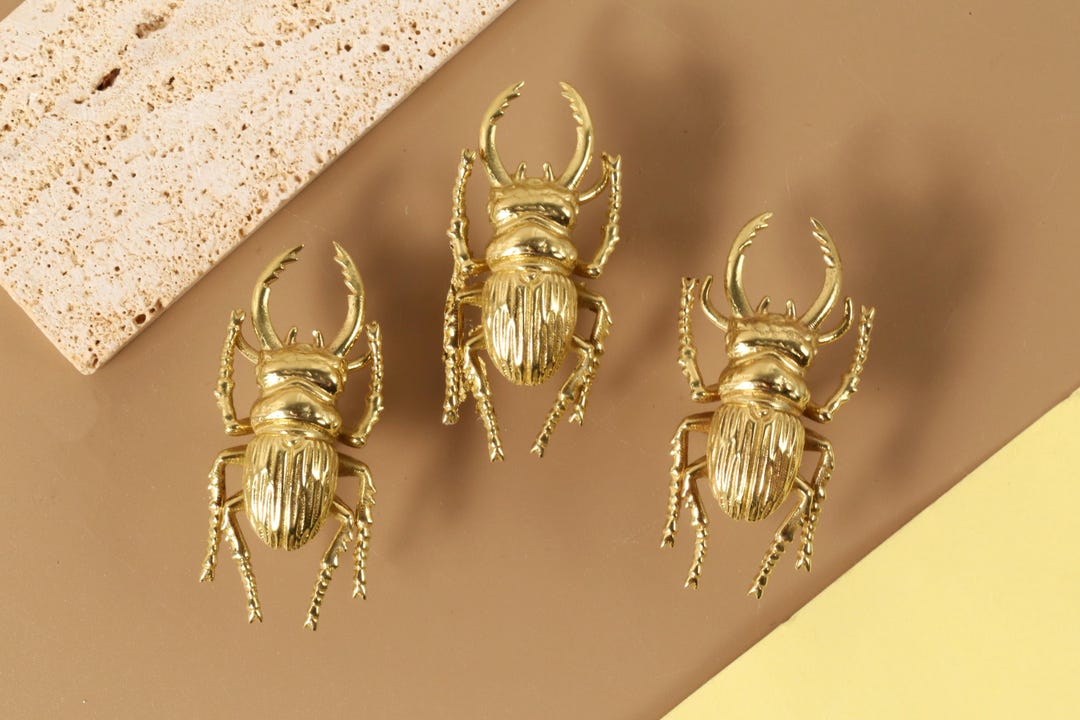 Textured Brass Beetle Bug Drawer Knobs Animals Cabinet Knobs Drawer ...