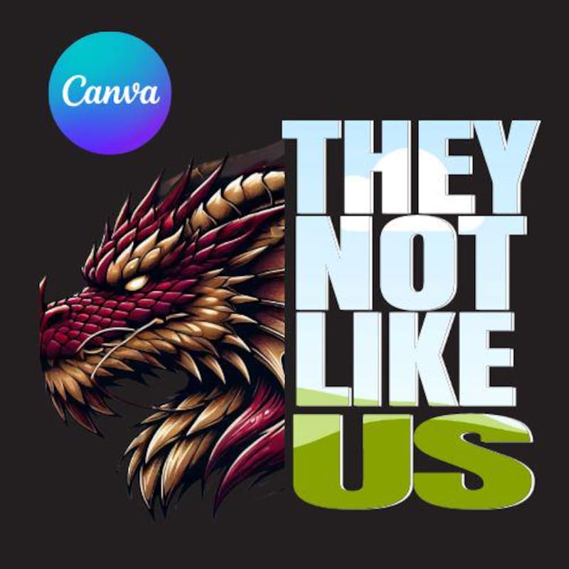 They Not Like Us - Etsy