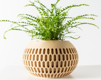 The Luxira Planter Pot With Drainage Tray - Etsy