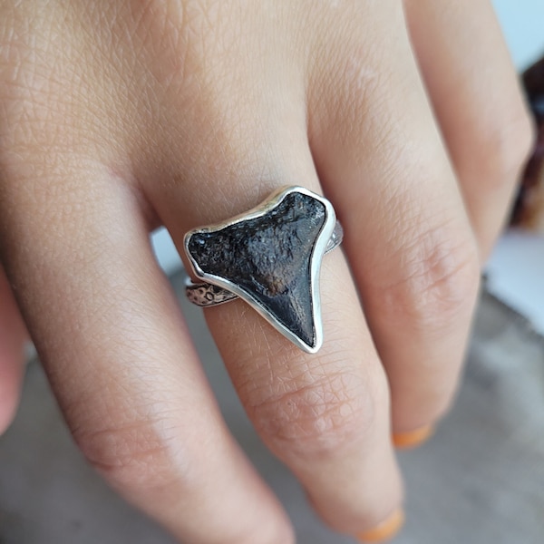 Shark Tooth Ring - Etsy