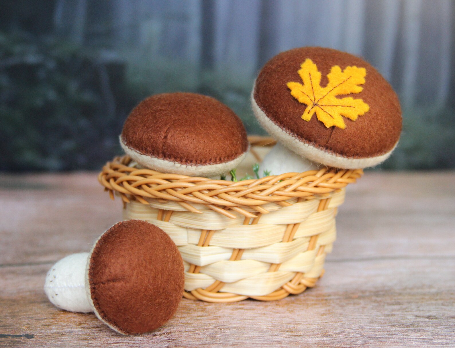 Porcini Mushroom Sewing Pattern PDF Pattern 2 Sizes - Etsy