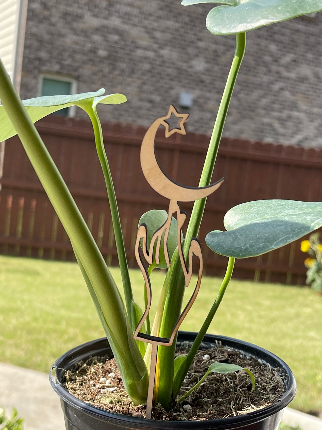 BOHO Hand Indoor Plant Trellis (3 Sizes for 2-6" Pots) | Mini & Small ...