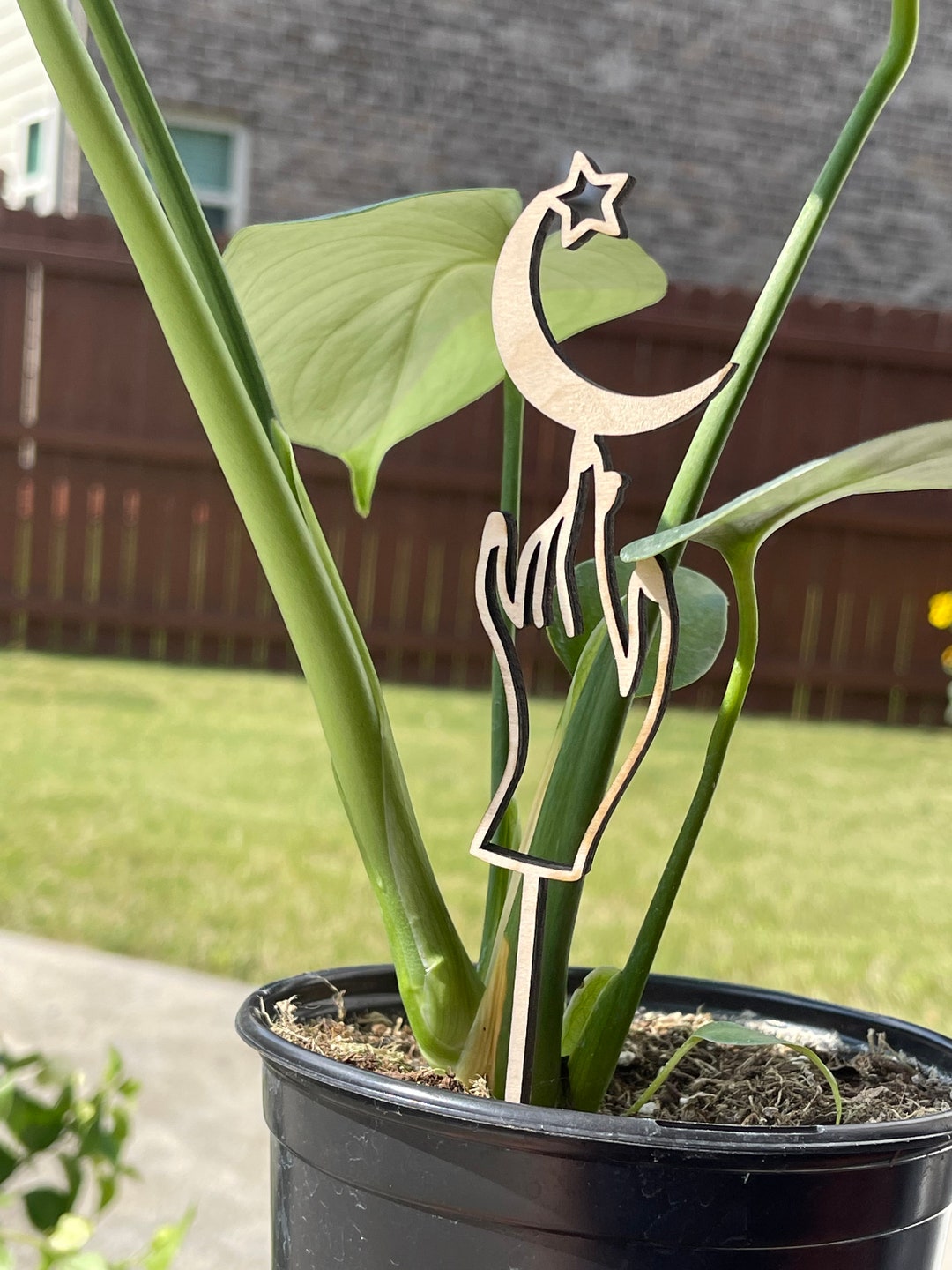 BOHO Hand Indoor Plant Trellis (3 Sizes for 2-6" Pots) | Mini & Small ...