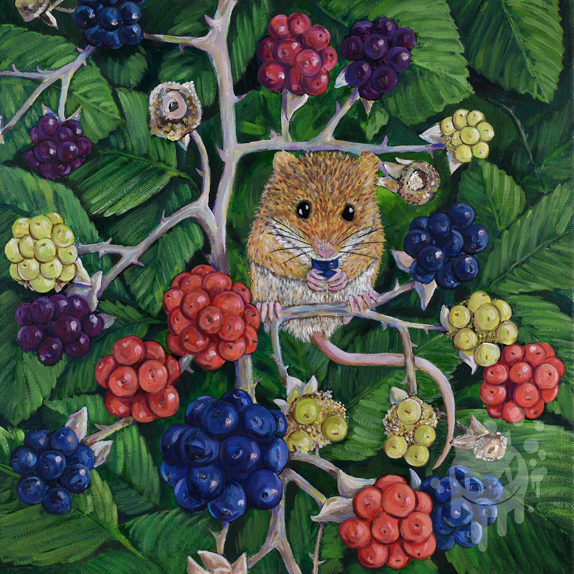 Blackberry Mouse Fine Art Print Mouse Art Mouse Picture Mouse Painting ...