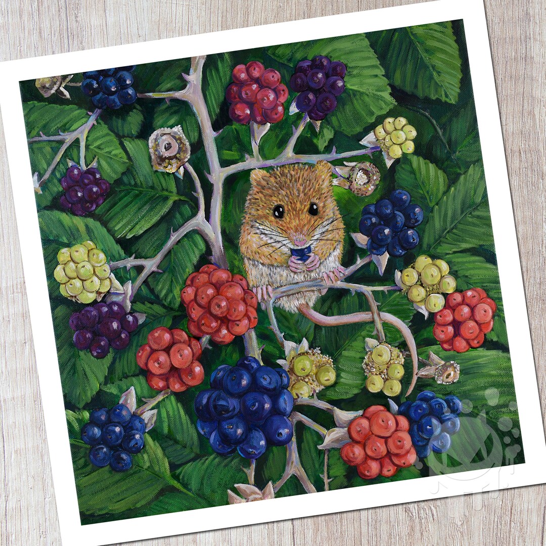 Blackberry Mouse Fine Art Print Mouse Art Mouse Picture Mouse Painting ...
