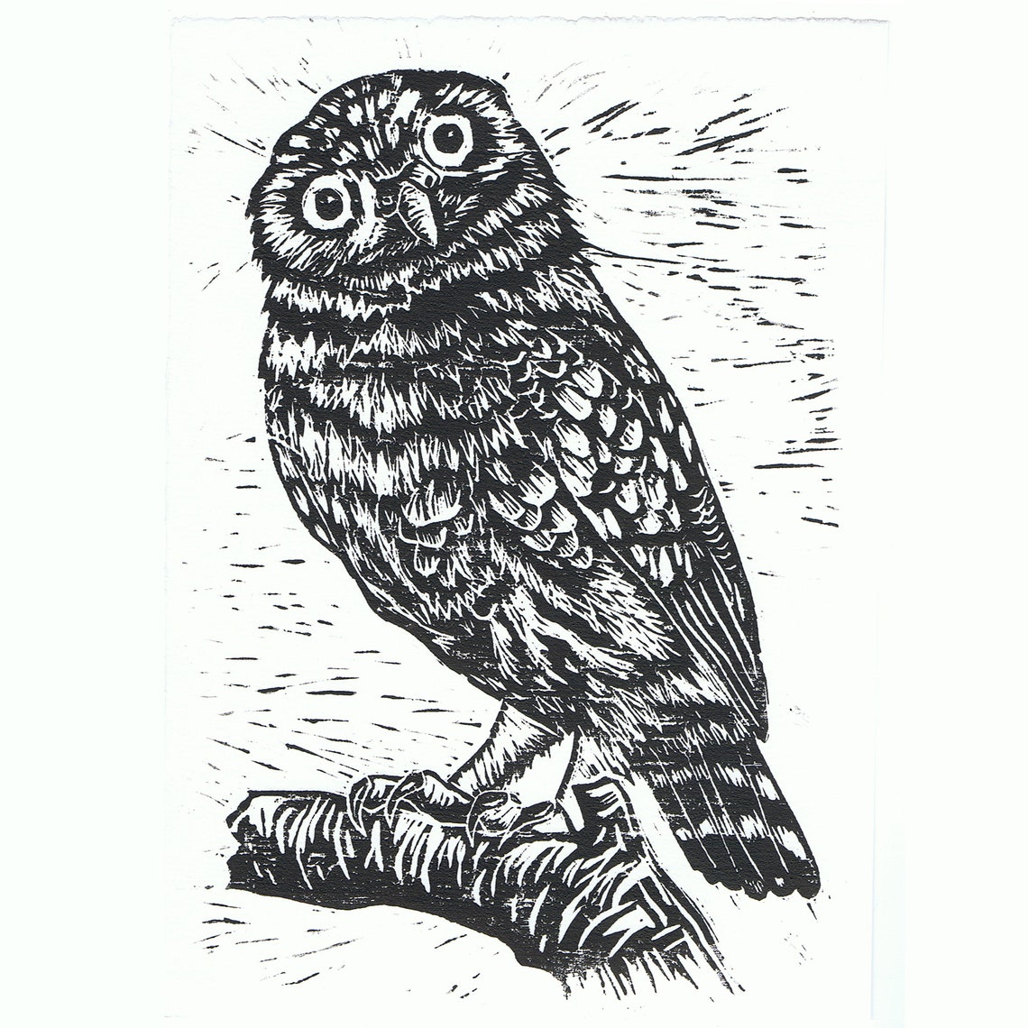 Original Owl Woodcut Hand Printed Woodcut Print Little Owl Art Print - Etsy