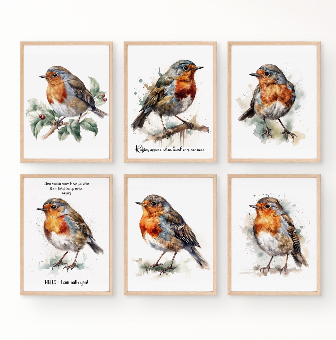 Robin Art Prints, Beautiful Robin Gift, 2 Sizes, 6 Different Prints to ...