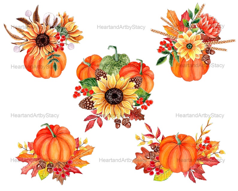 Watercolor Pumpkin Clipart, Fall Clipart, Thanksgiving Clipart, Digital ...