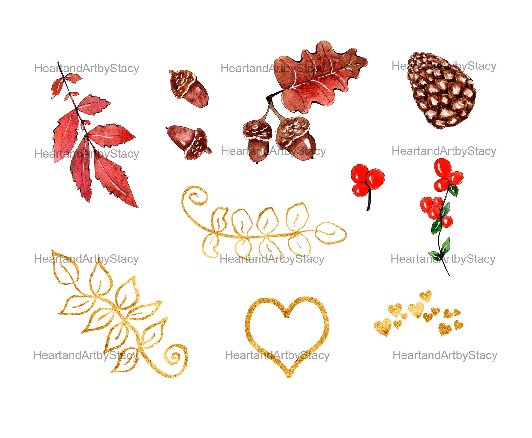 Watercolor Thanksgiving Set, Autumn Fall Elements, Pumpkins, Flowers ...