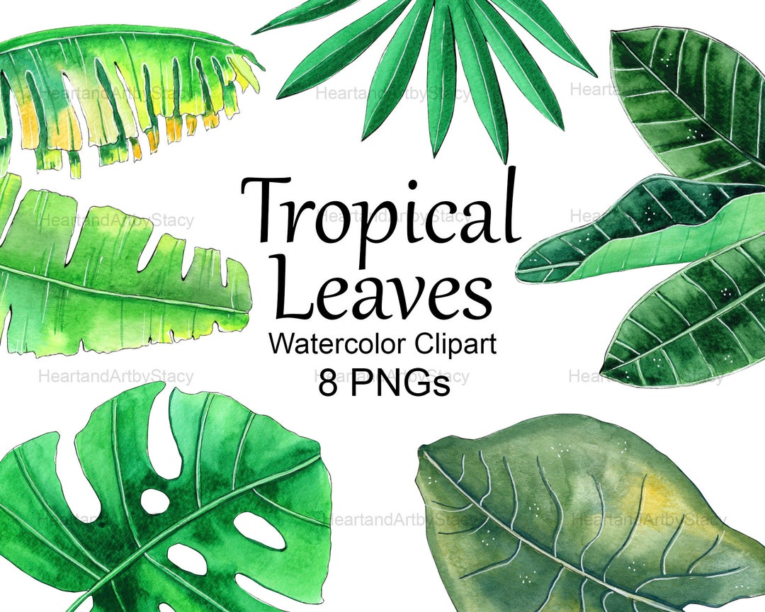 Tropical Leaves Watercolor Clipart, Summer Clipart, Digital Download ...