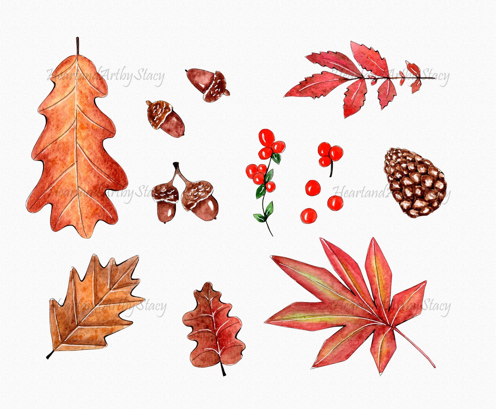 Autumn Fall Watercolor Clip Art, Autumn Fall Leaves and Other Elements ...