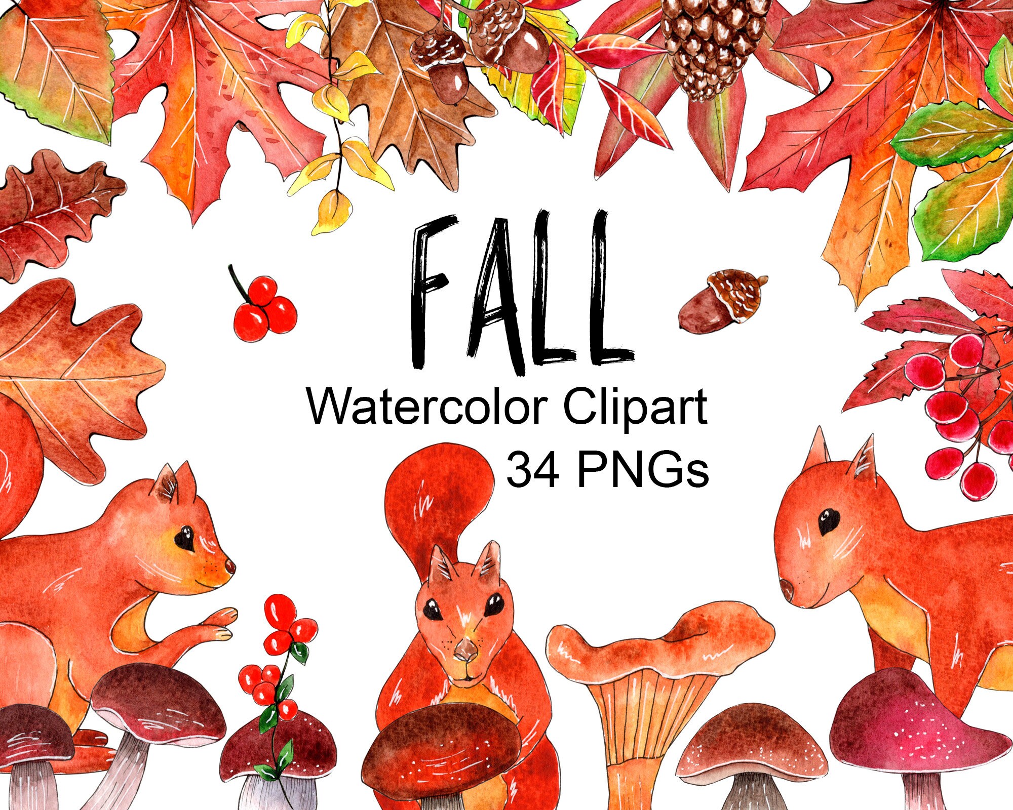 Watercolor Fall Clipart Png Fall Leaves Mushrooms and - Etsy