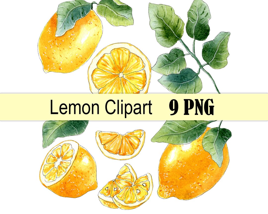 Watercolor Lemon Clipart, Citrus Fruit Png, Summer Clipart, Digital ...