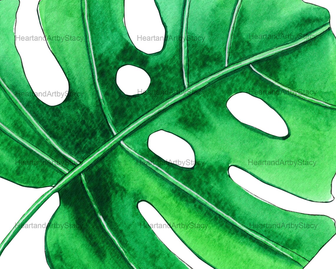 Tropical Leaves Watercolor Clipart, Summer Clipart, Digital Download ...