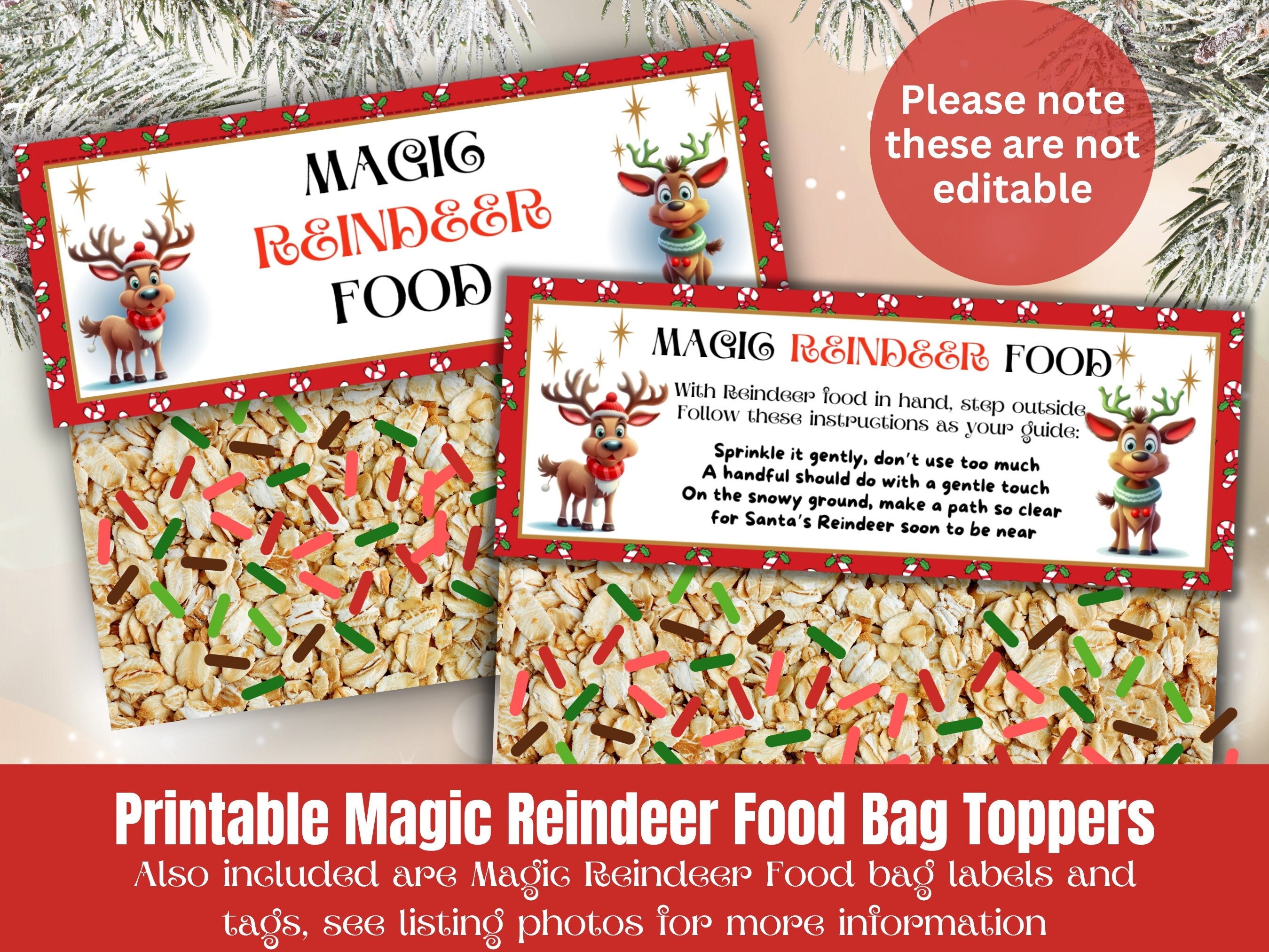 Magic Reindeer Food Bag Topper Printable, Reindeer Food Tags, Reindeer ...