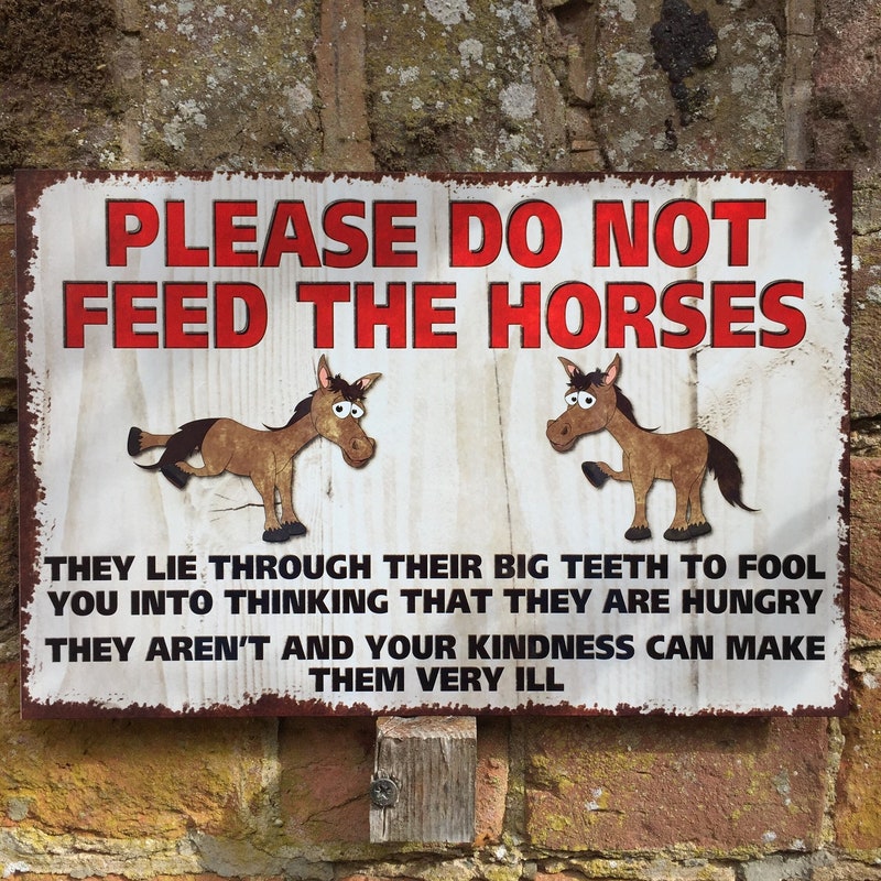 Funny Feed Animals Sign - Etsy UK