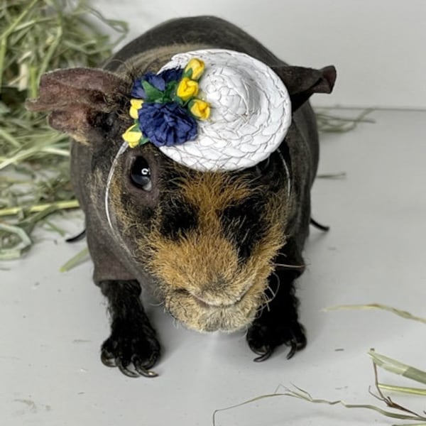 Guinea Pig Hat - Etsy