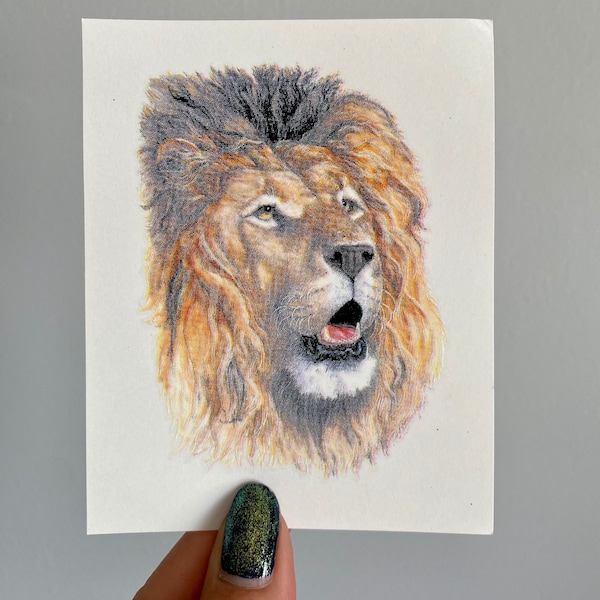 Lion Transfer - Etsy