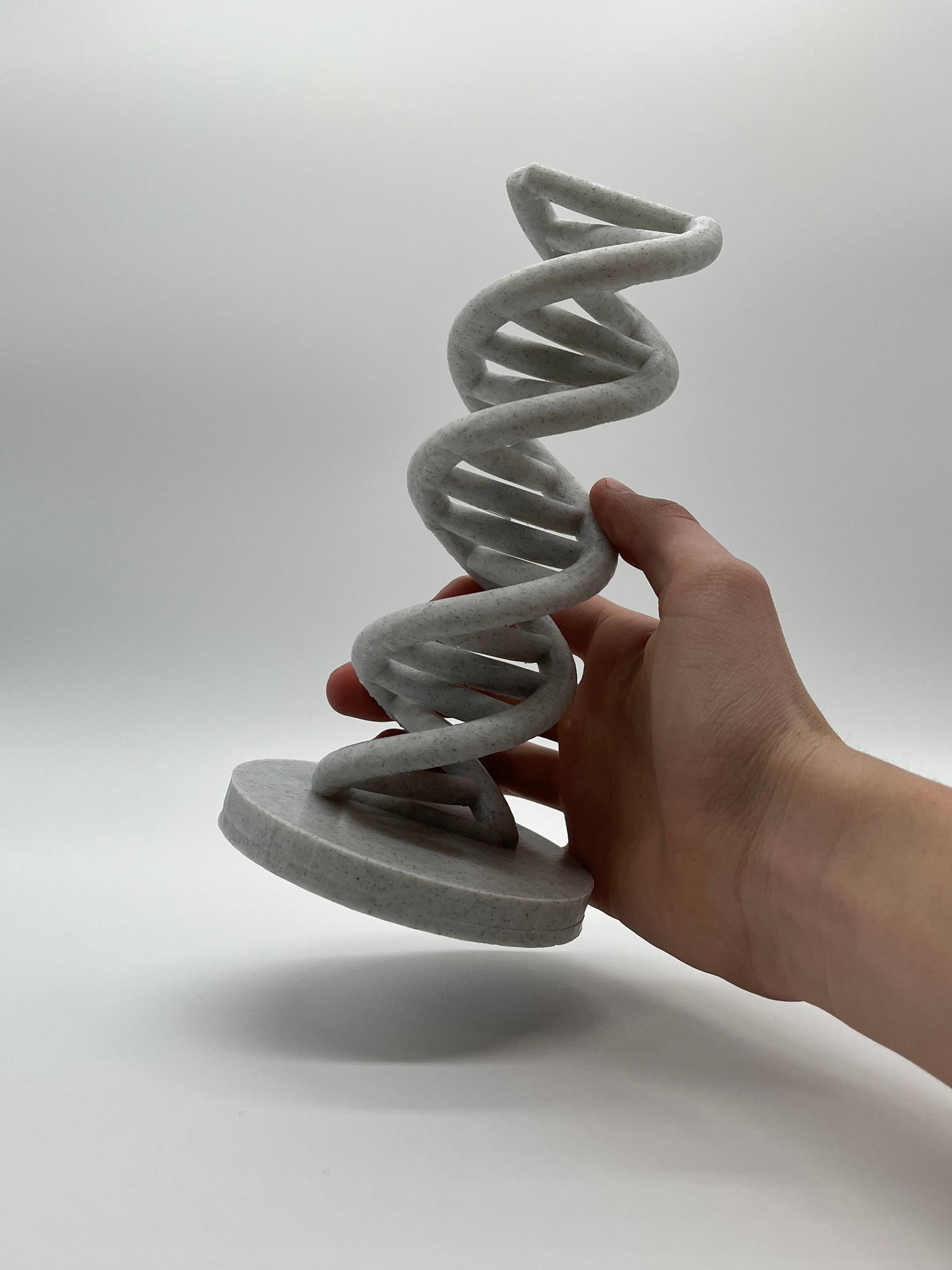 DNA Model DNA Helix DNA Decor Teacher Gift Genetic - Etsy
