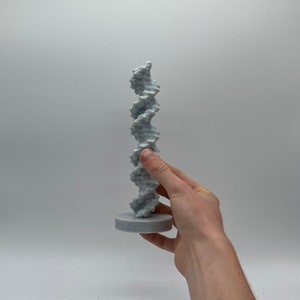 DNA Molecule Model | DNA Helix | DNA Decor | Teacher Gift | Kid's Gift ...
