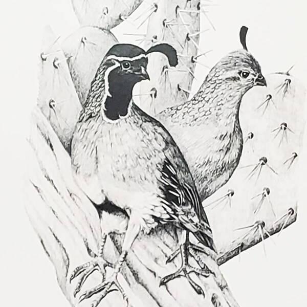 Quail Painting - Etsy