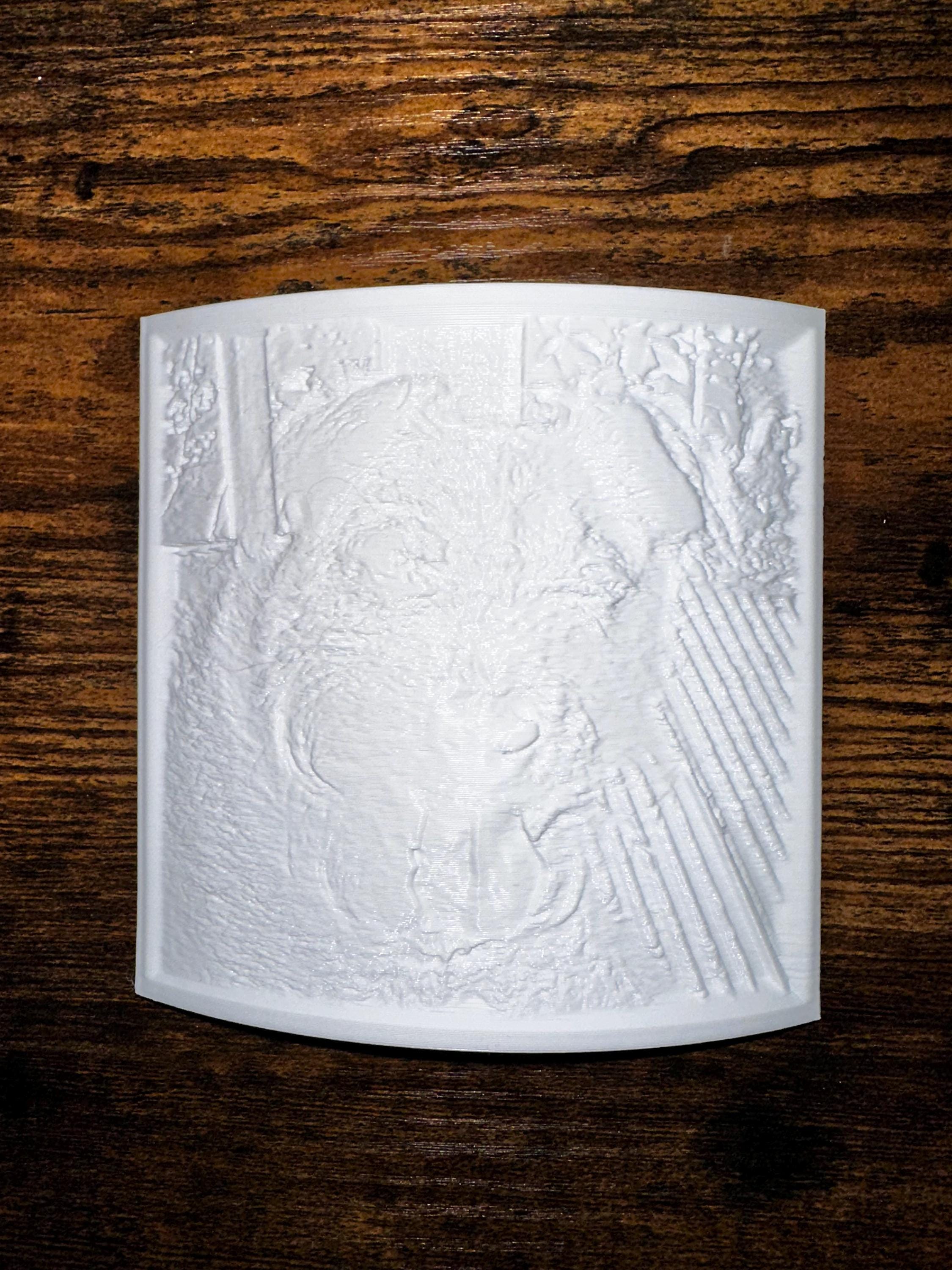 3D Printed Pictures, Custom Lithophanes - Etsy