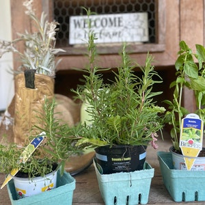 The Boujee Butter Candle - Etsy