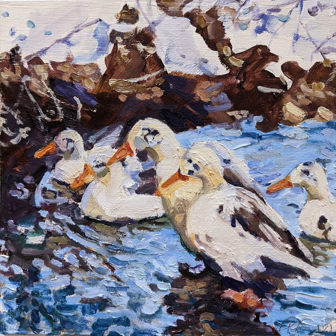 Ancona Ducks Giclée Print, Farm Animal Art (10x10) - Etsy