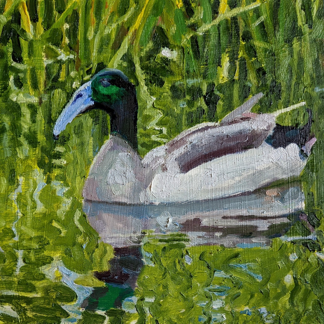 Dutch Hookbill Drake - Etsy