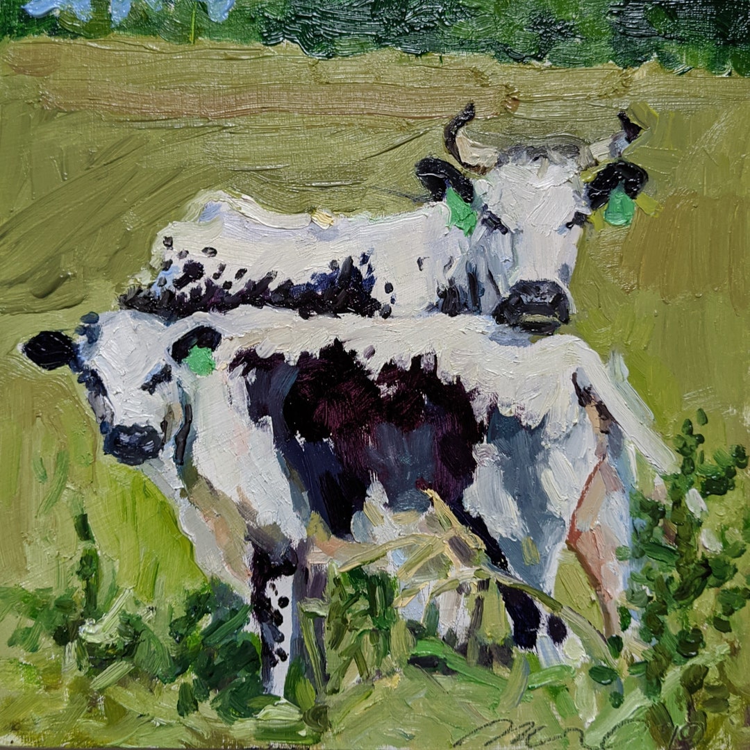 Randall Lineback Cattle - Etsy