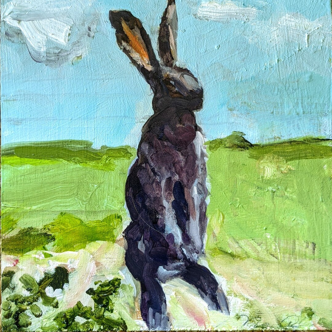 Beveren Rabbit - Etsy