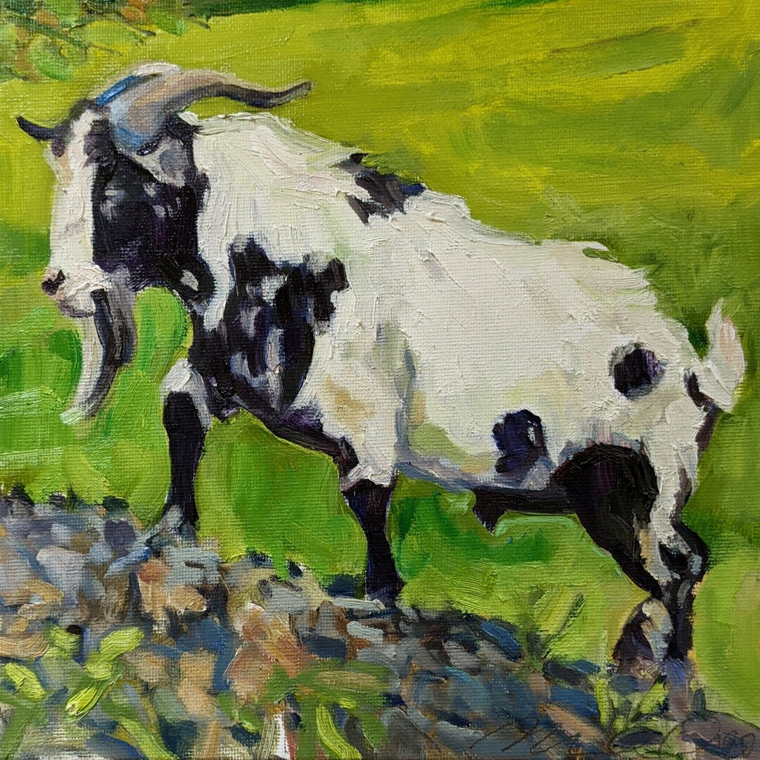 Myotonic Goat Giclée Print - Farm Animal Art, Livestock Conservancy - Etsy