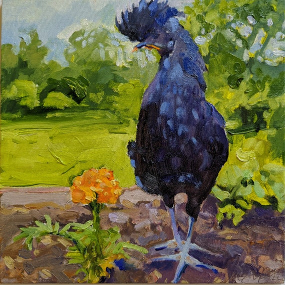 Crevecoeur Chicken