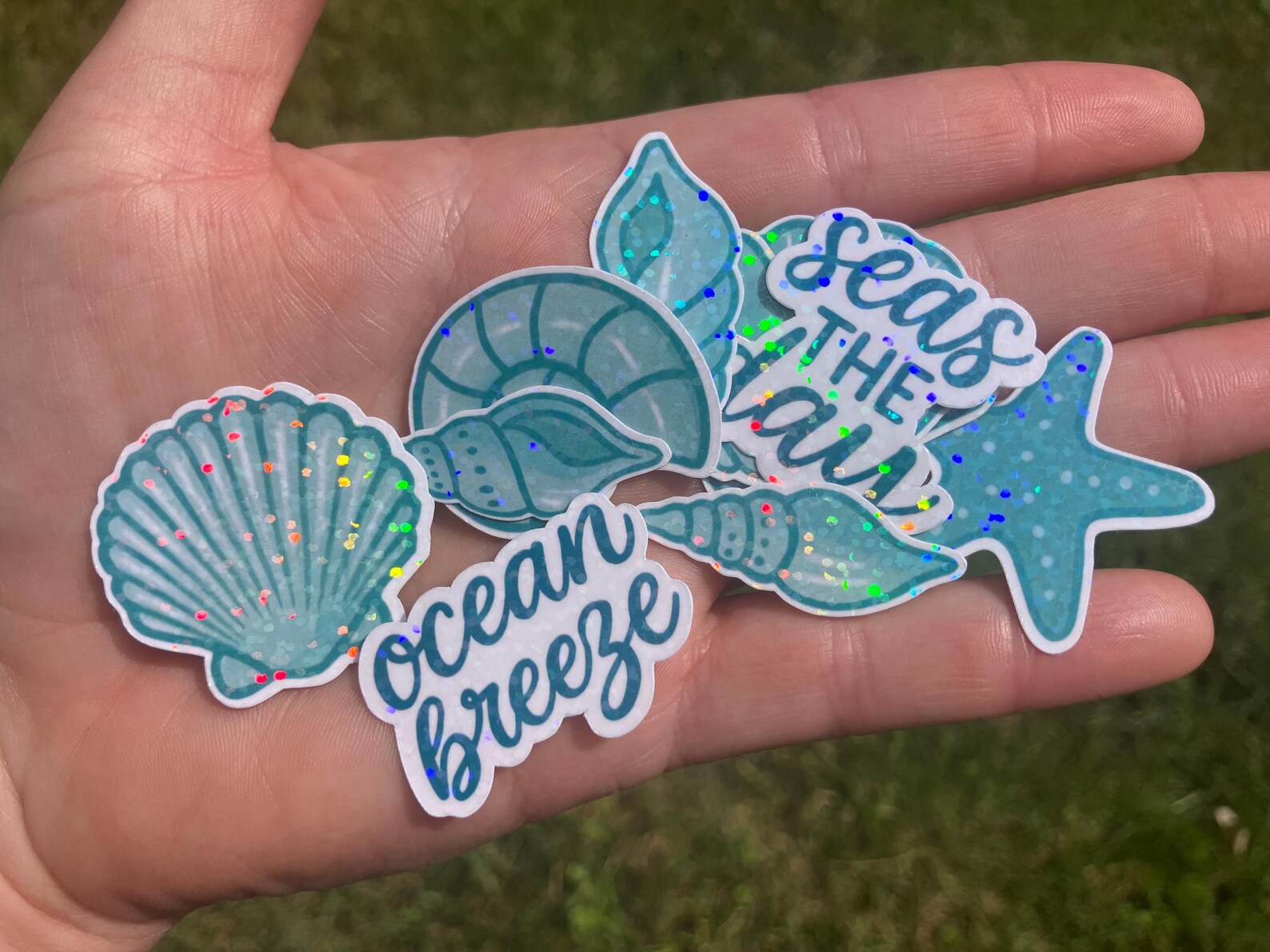 Seashell Sticker Set - Etsy