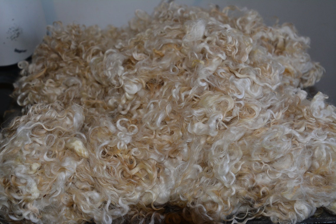 Curly White Cotswold Lock Wool, Felting Wool, Santa and Doll Making ...