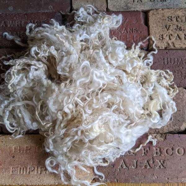 Wool Locks - Etsy