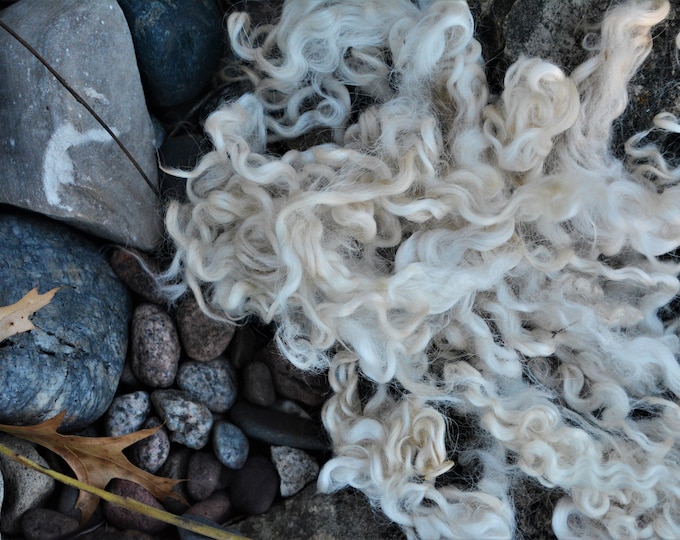 Curly White Cotswold Lock Wool, Felting Wool, Santa and Doll Making ...