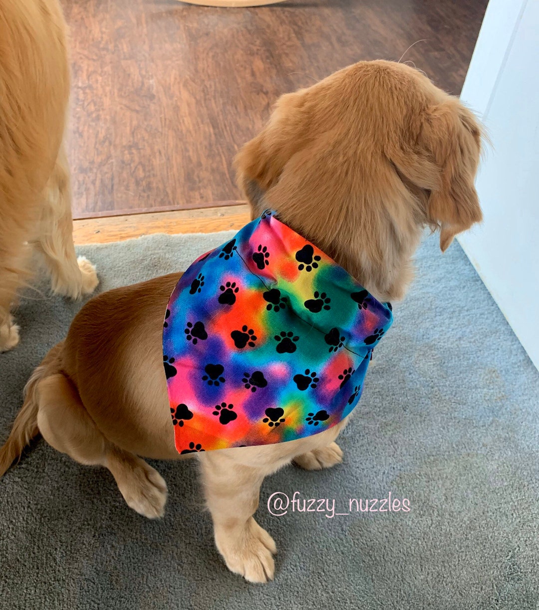 Tie Dye, Paws, Diamonds, Jester, Hippie, Reversible, Pet Bandana ...