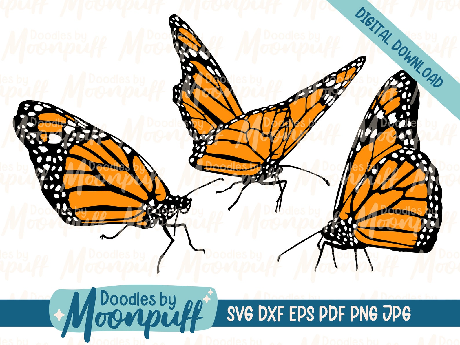 Realistic Butterflies Side View Cut File SVG Butterfly - Etsy