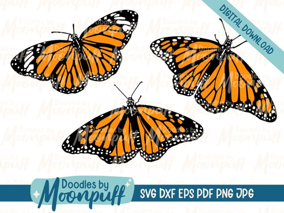 Realistic Butterflies Cut File SVG Butterfly Silhouette | Etsy