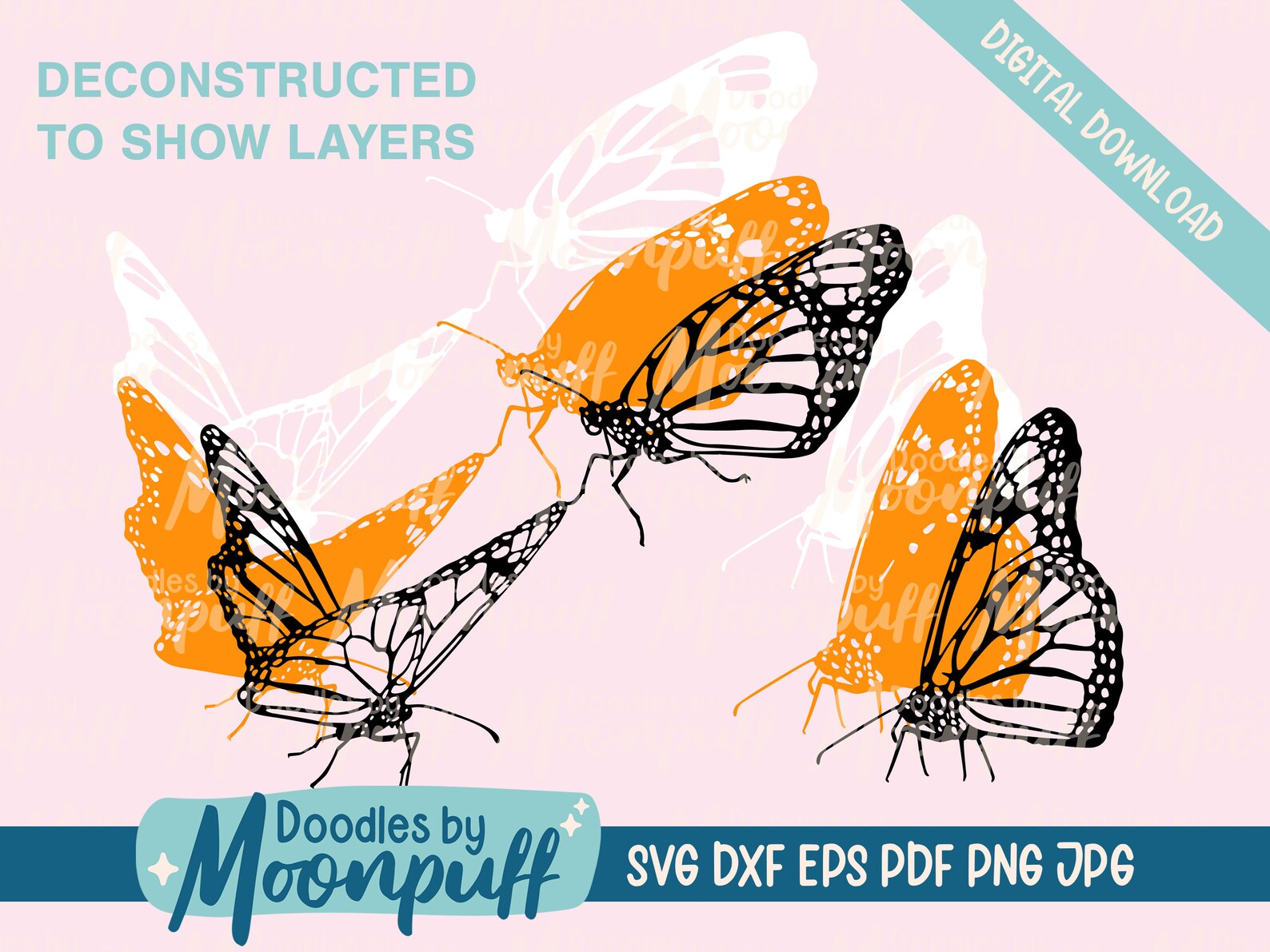 Realistic Butterflies Side View Cut File SVG Butterfly - Etsy