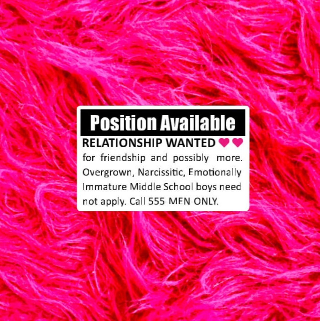 Funny Sticker Gift for Her, Classified Ad for Relationship Wanted, No ...