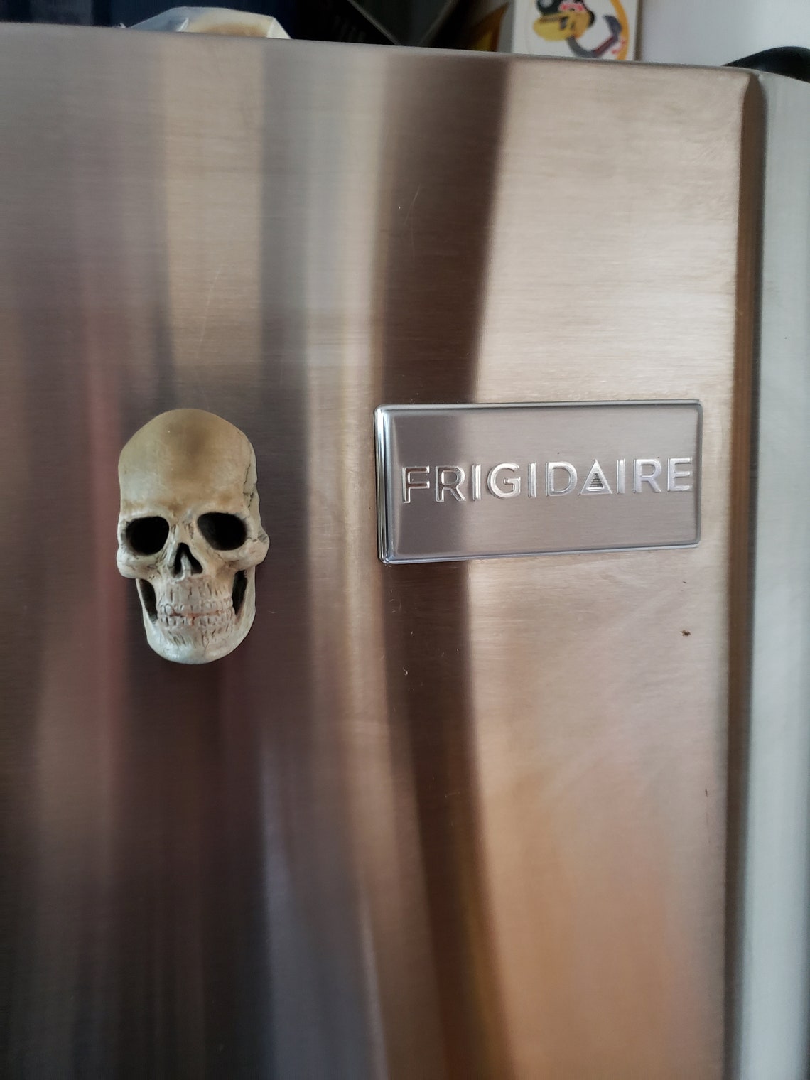 Human Skull Magnet catacomb Style - Etsy
