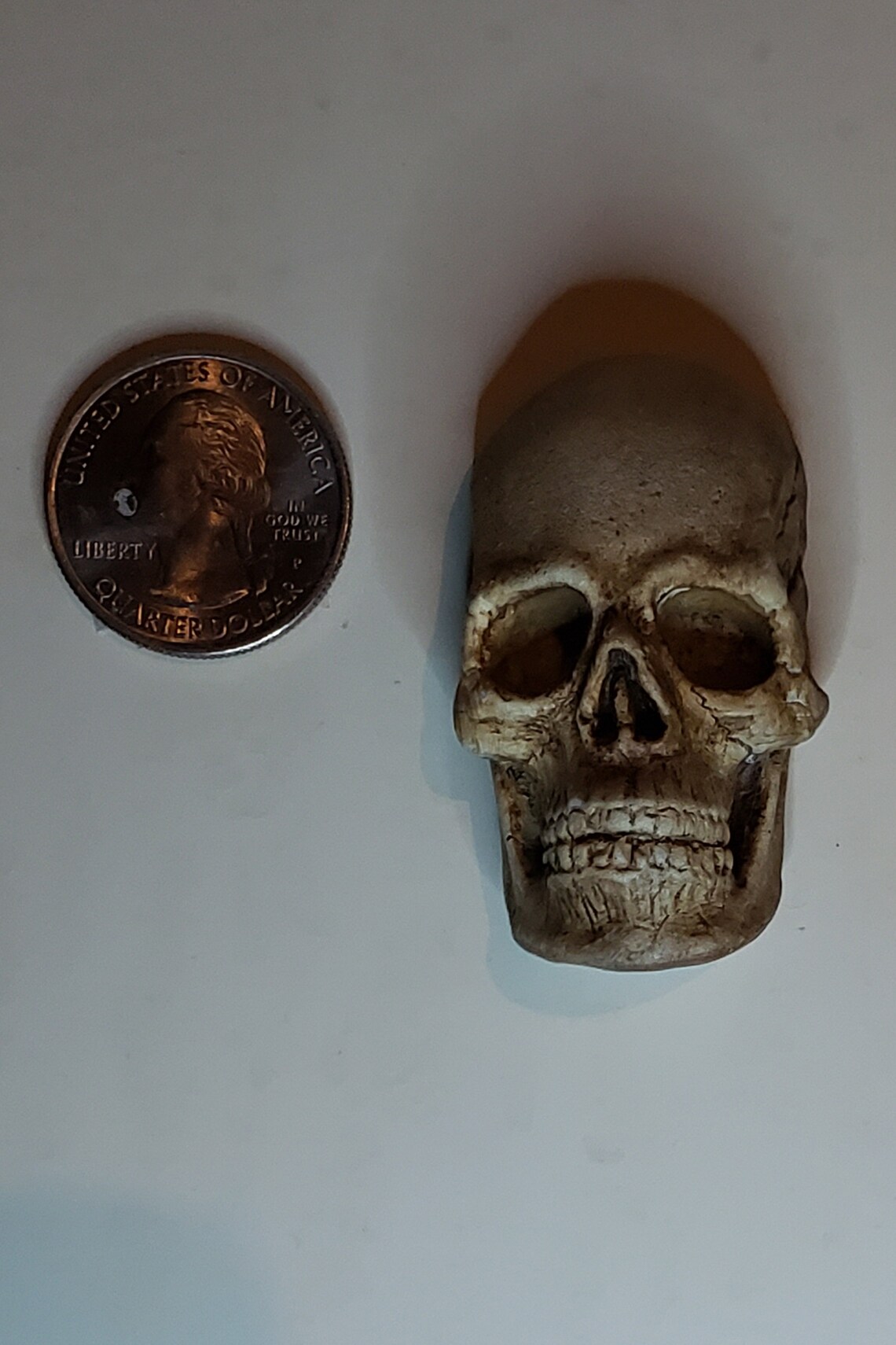 Human Skull Magnet "catacomb Style" - Etsy