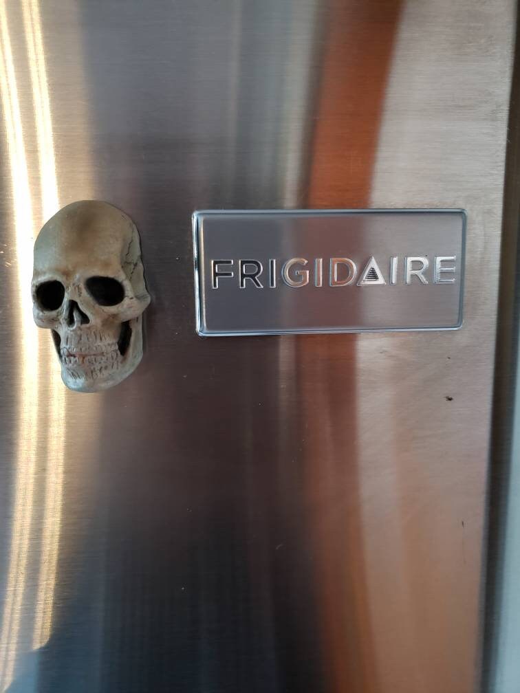 Human Skull Magnet (unpainted Kit) - Etsy